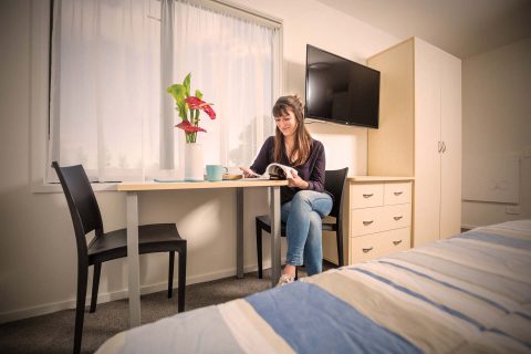 StudioHomes | Studios across Auckland