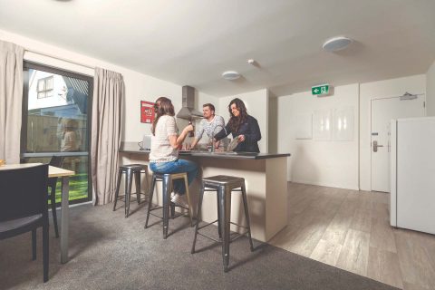 StudioHomes | Studios across Auckland